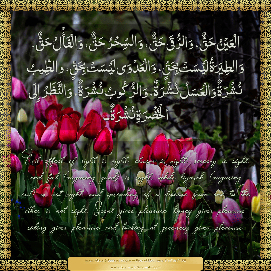 Sayings of Imam Ali (a.s) about: “sorcery”