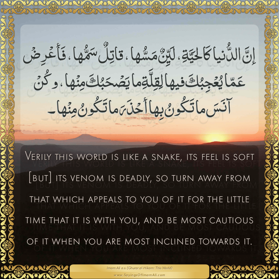 Sayings of Imam Ali (a.s) about: “snake”