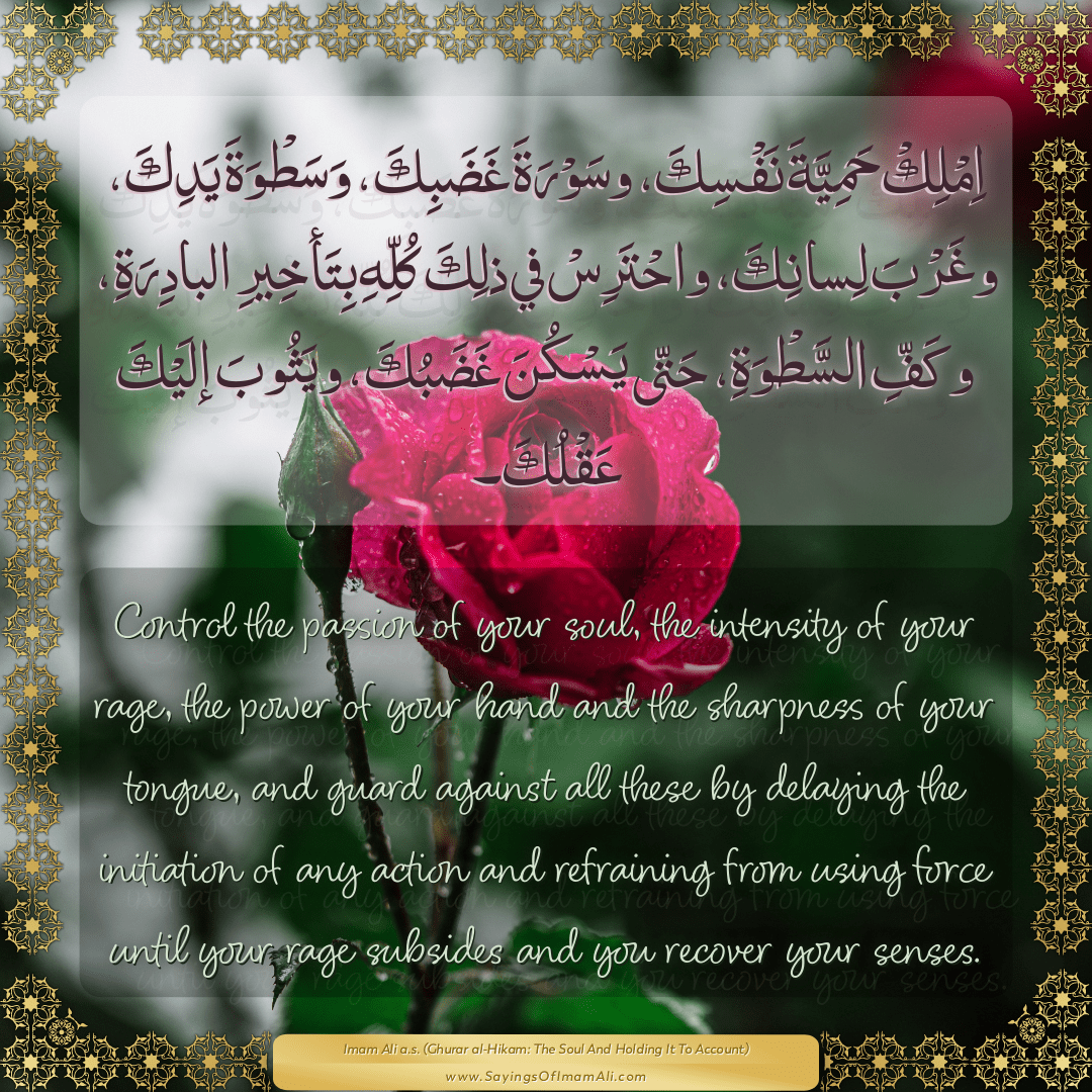 Sayings of Imam Ali (a.s) about: “initiation”