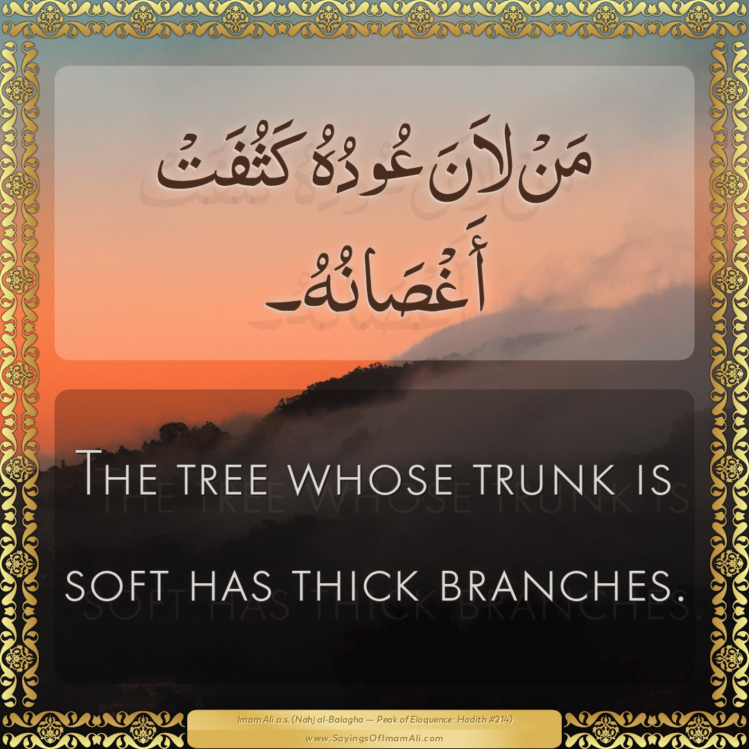 Sayings of Imam Ali (a.s) about: “trunk”