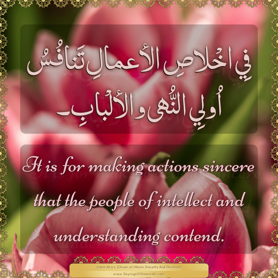 Sayings of Imam Ali (a.s) about: “تُنافِسْ”