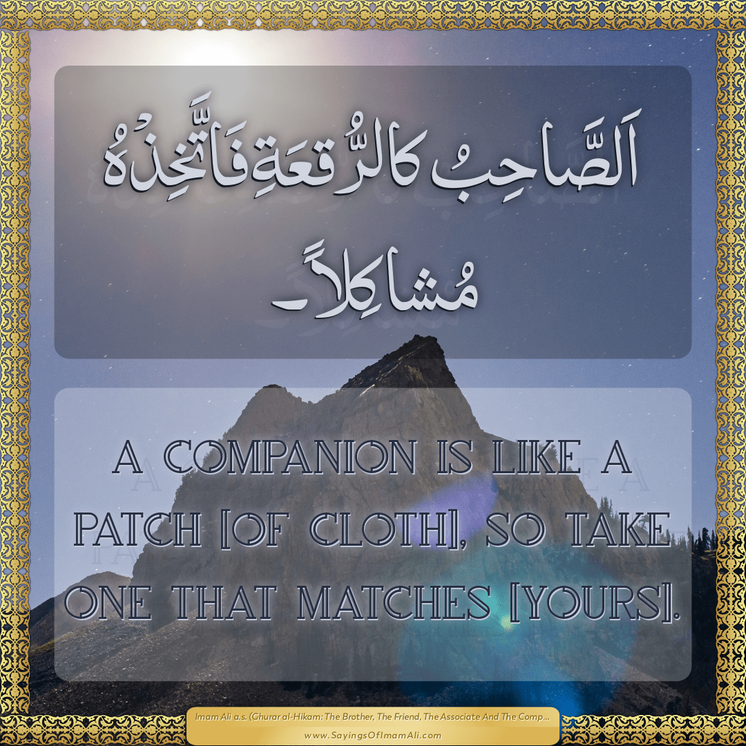 Sayings of Imam Ali (a.s) about: “الصّاحِبَ”