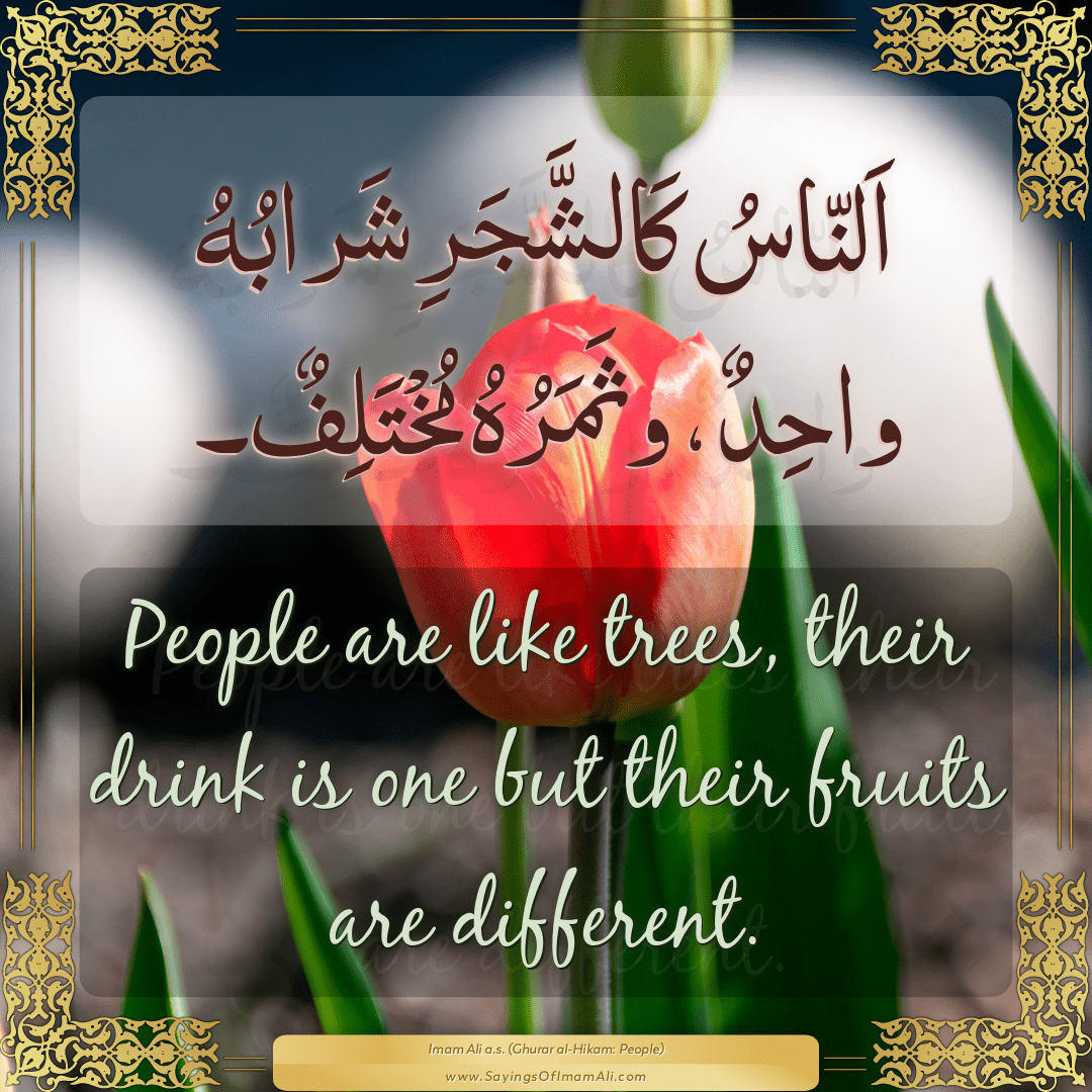 People are like trees, their drink is... — Imam Ali (a.s)