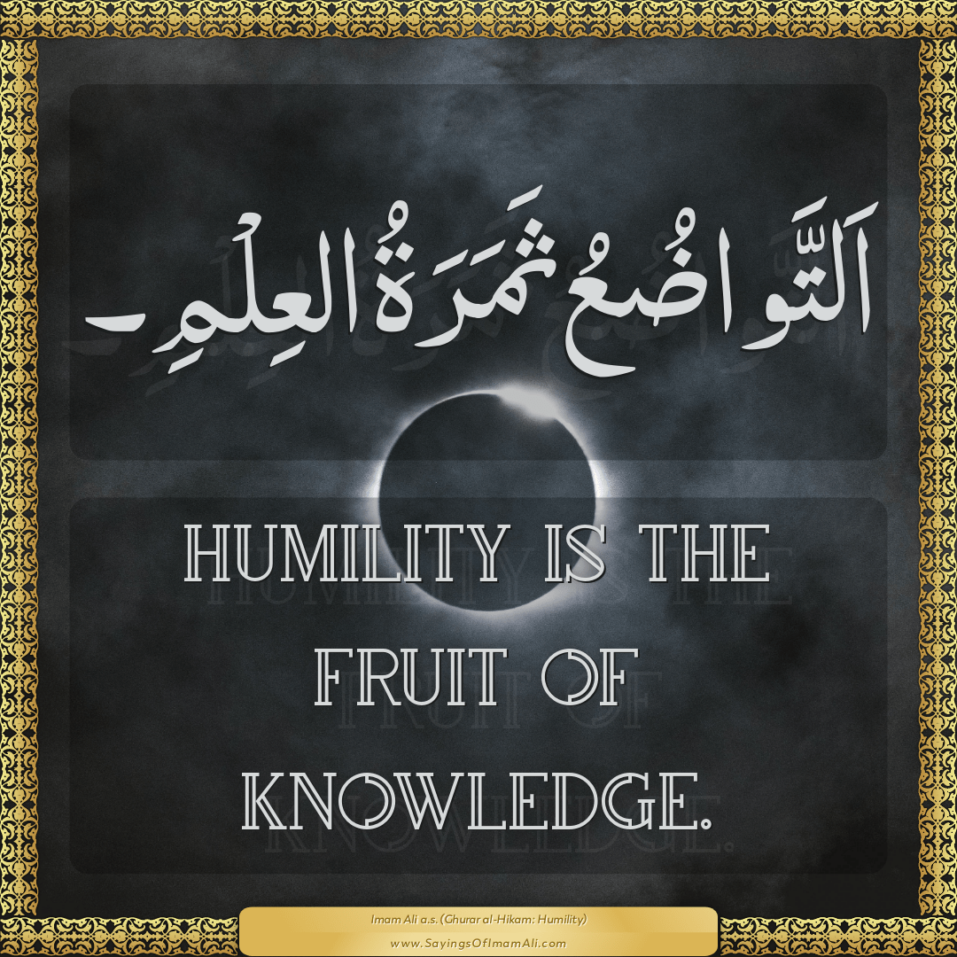 Humility is the fruit of knowledge. — Imam Ali (a.s)
