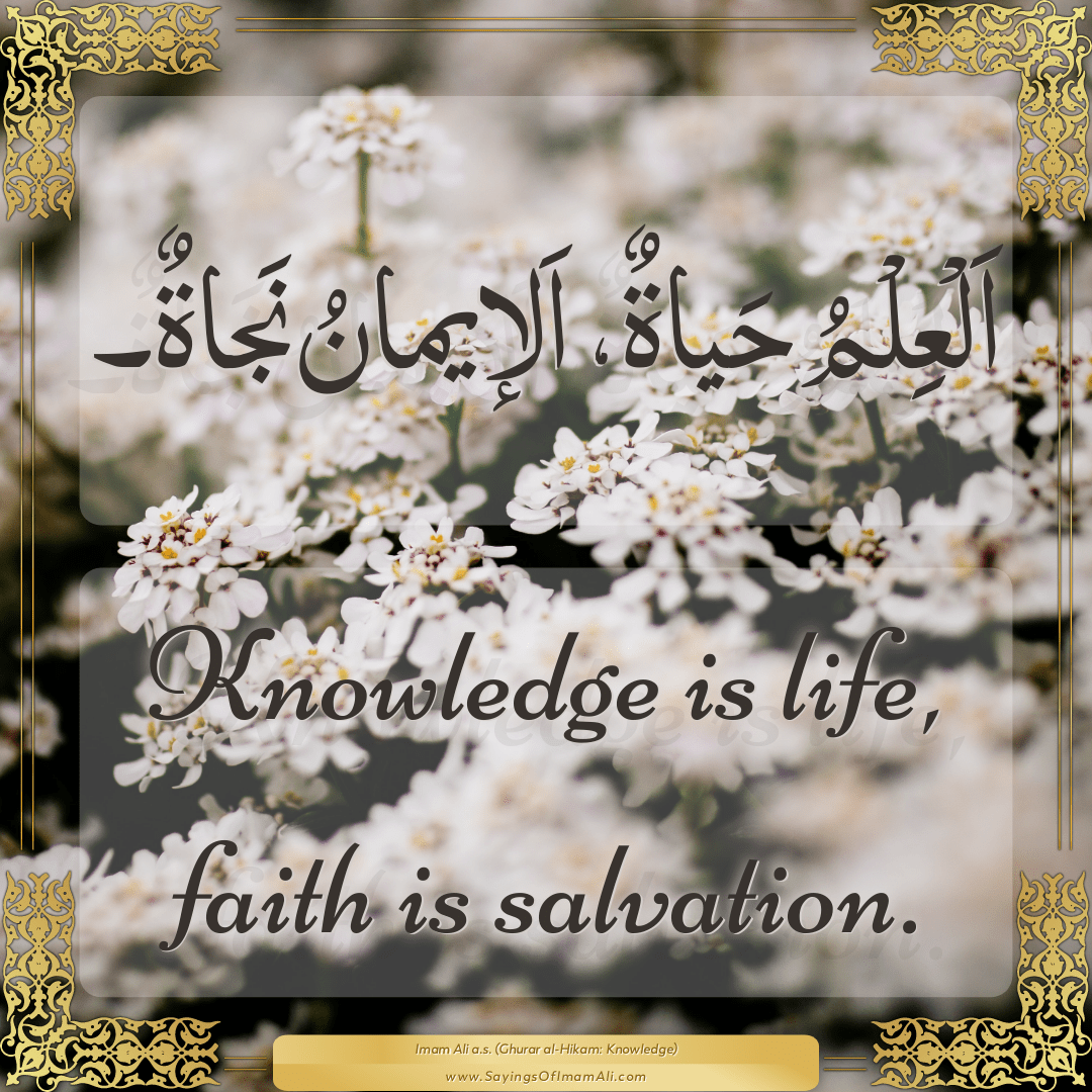 Knowledge is life, faith is salvation. — Imam Ali (a.s)