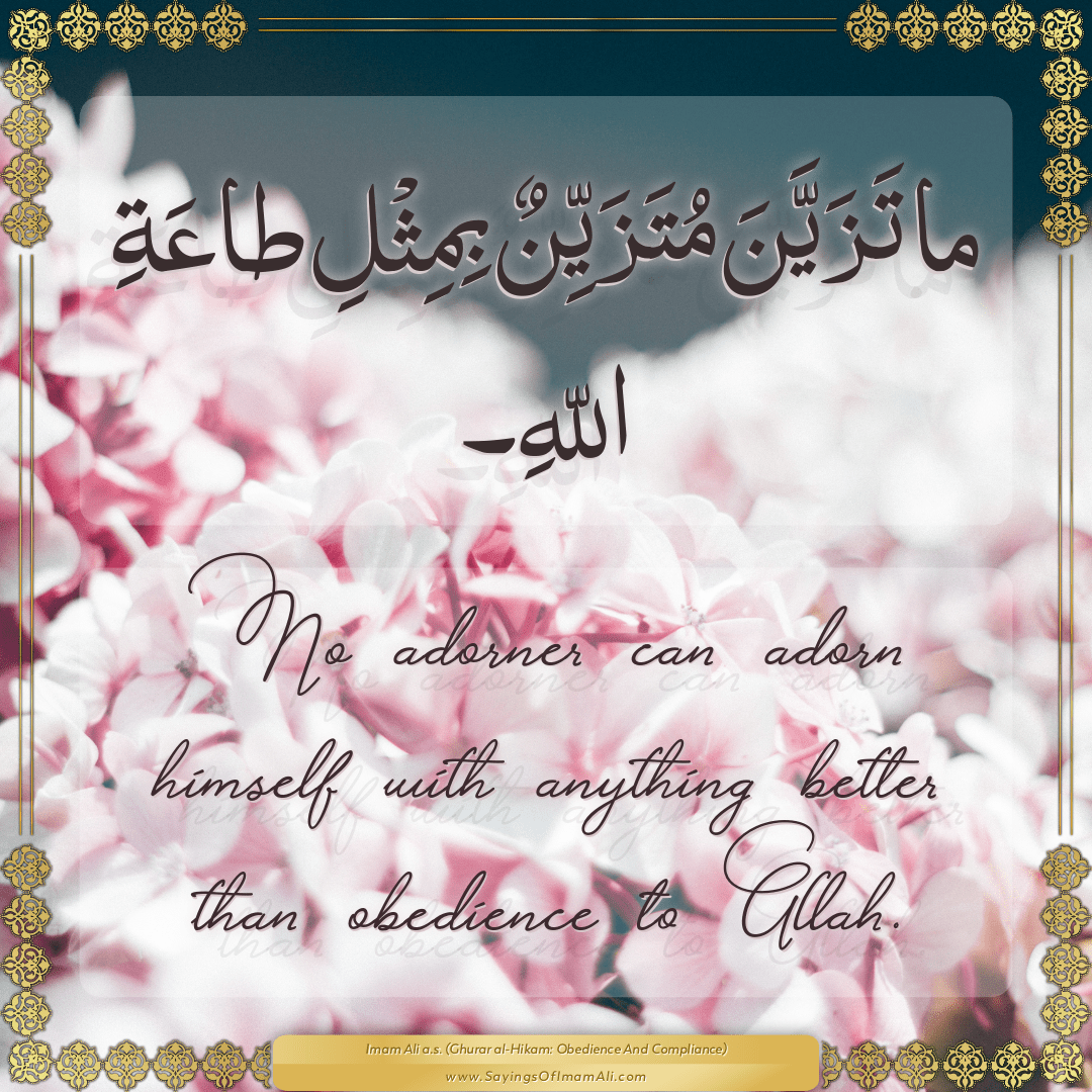 Sayings of Imam Ali (a.s) about: “adorner”