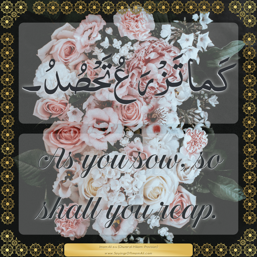 As you sow, so shall you reap. — Imam Ali (a.s)