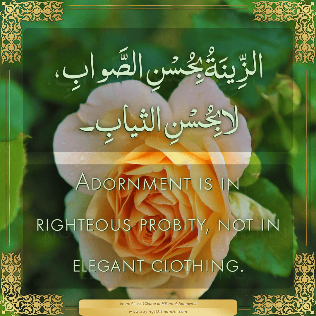 Sayings of Imam Ali (a.s) about: “clothing”