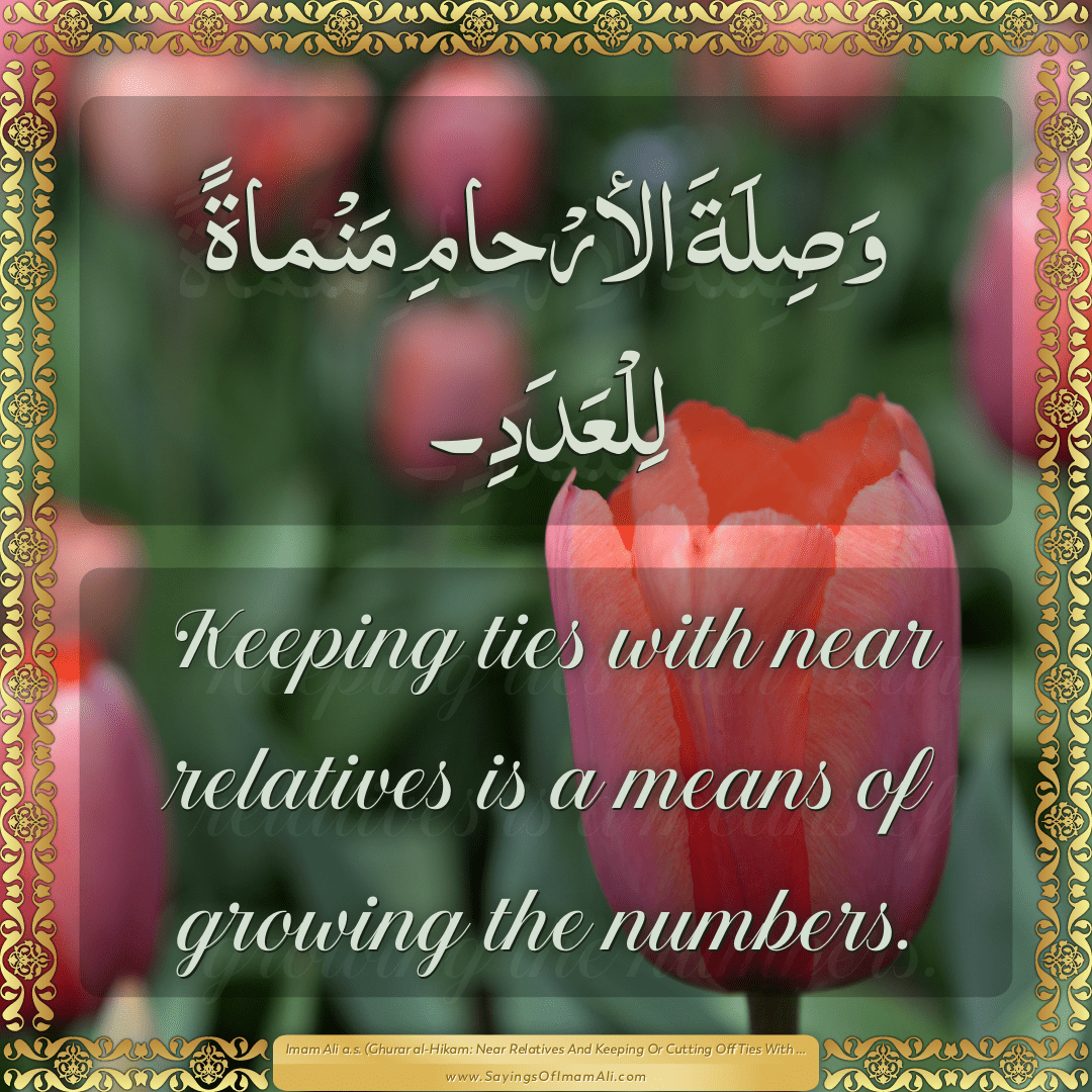 Sayings of Imam Ali (a.s) about: “growing”
