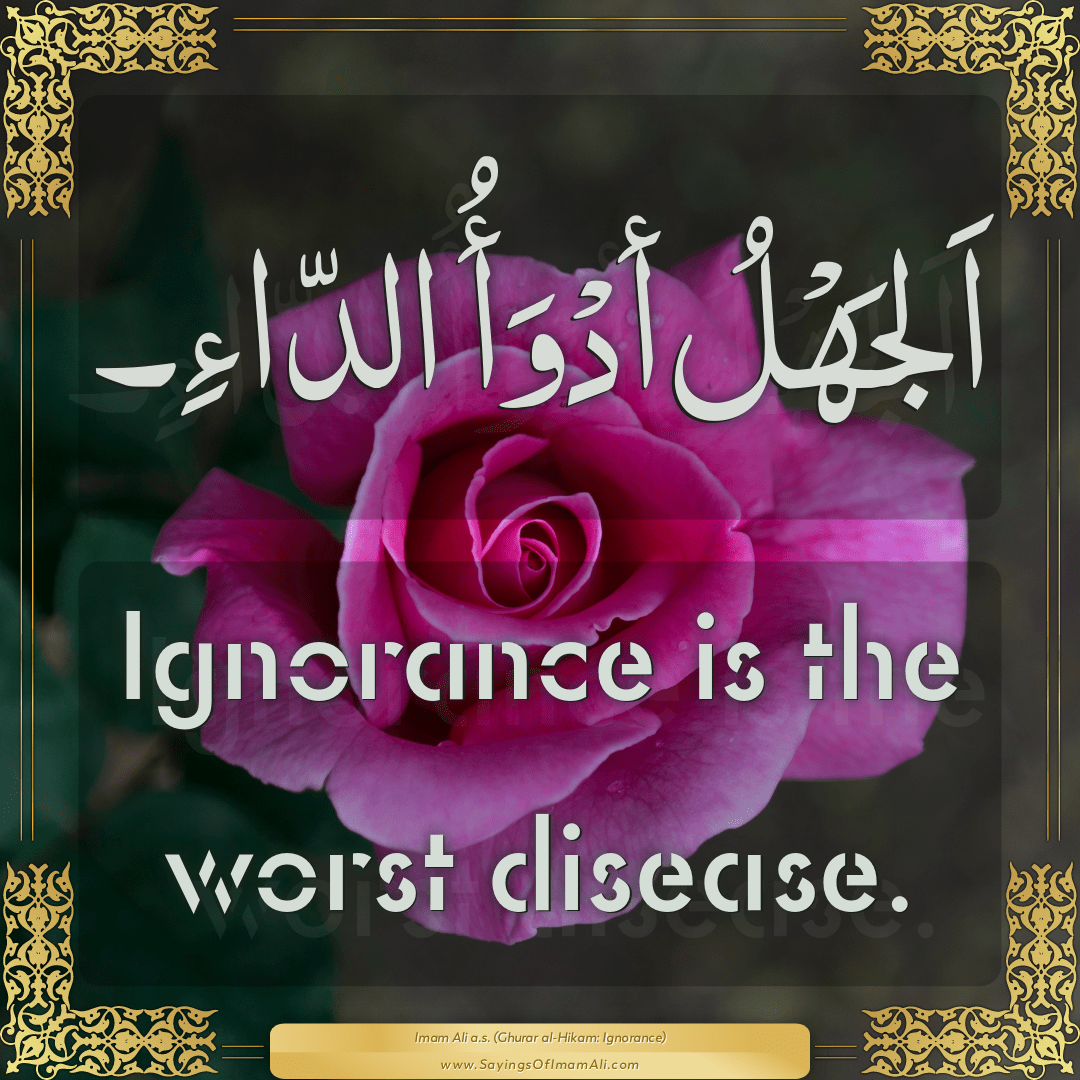 Ignorance is the worst disease. — Imam Ali (a.s)