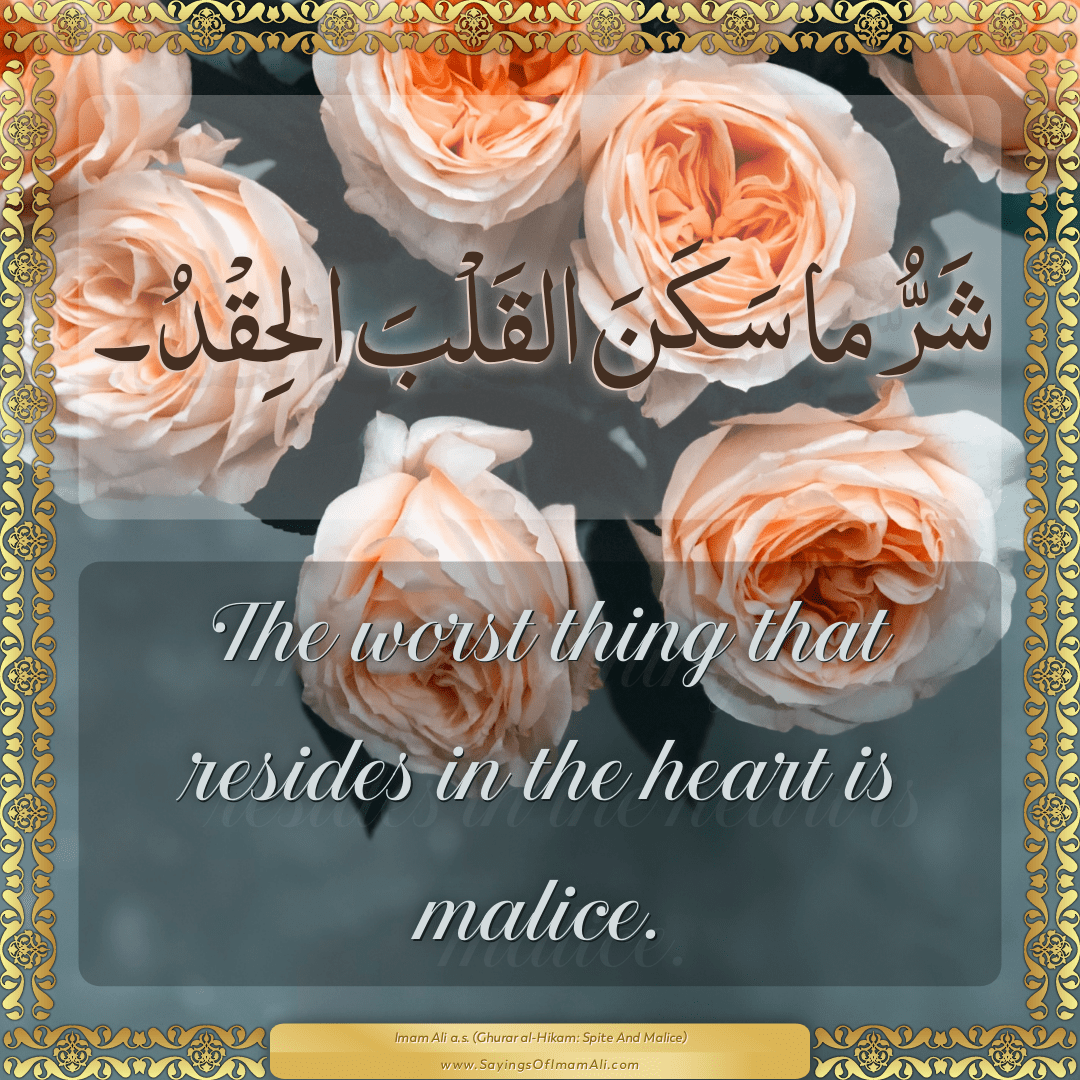 Sayings of Imam Ali (a.s) about: “سَكَنَ”