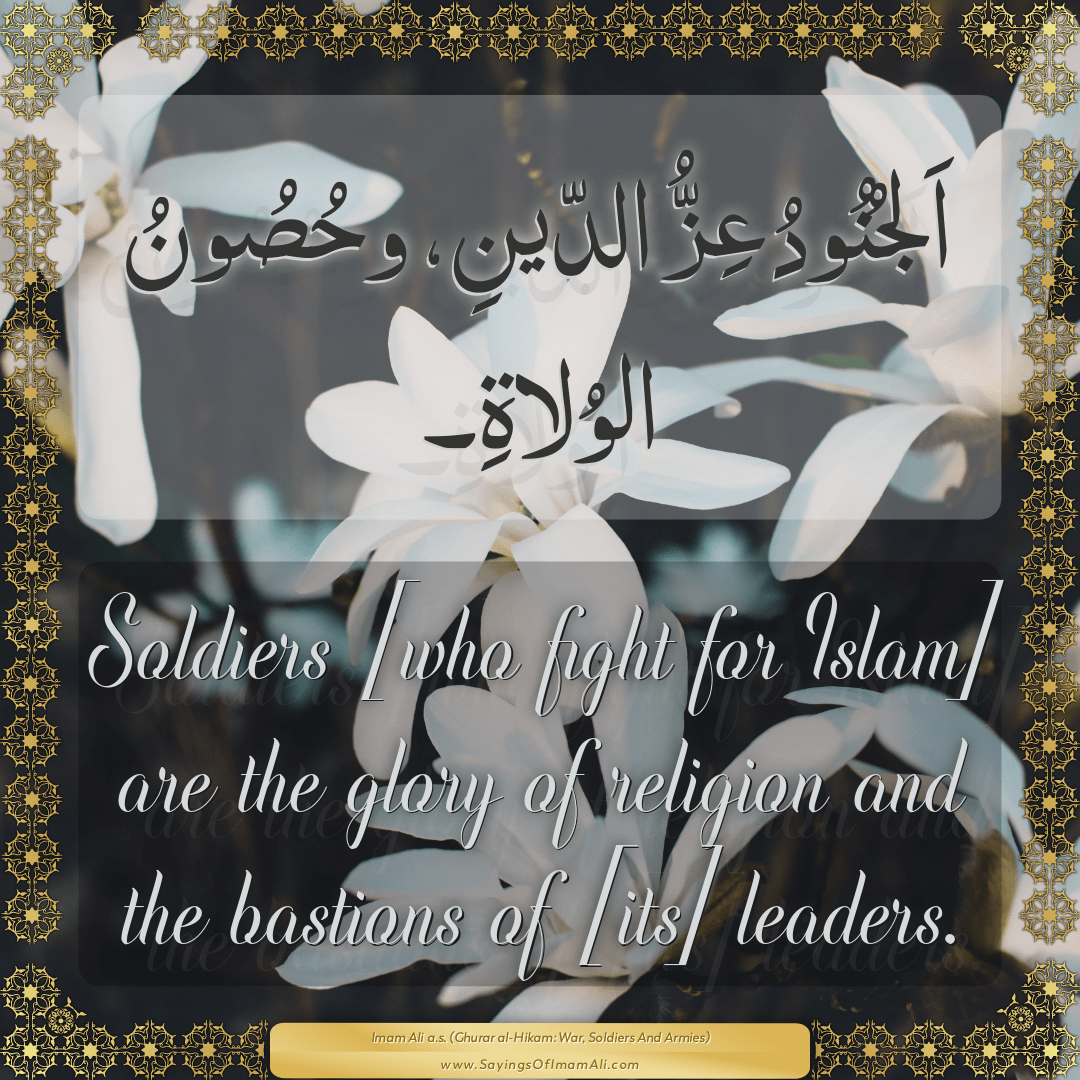 Sayings of Imam Ali (a.s) about: “soldiers”